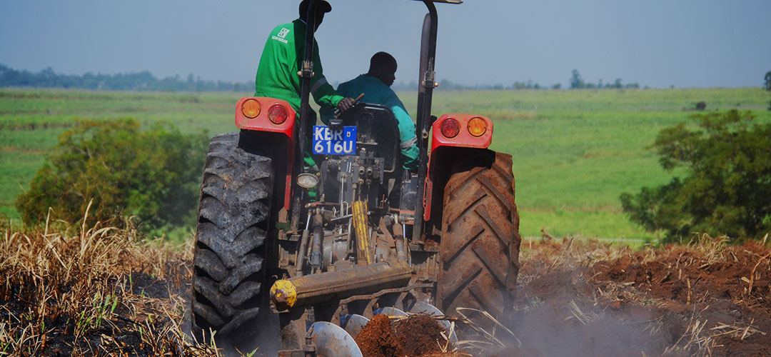 Welcome! | South Nyanza Sugar Company (SonySugar)