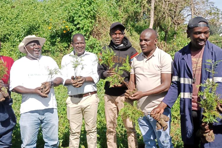 Latest News | South Nyanza Sugar Company (SonySugar)